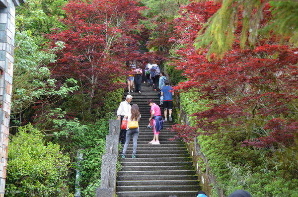 宜兰 太平山 And 鸠之泽温泉一日游 台北出发 Klook客路